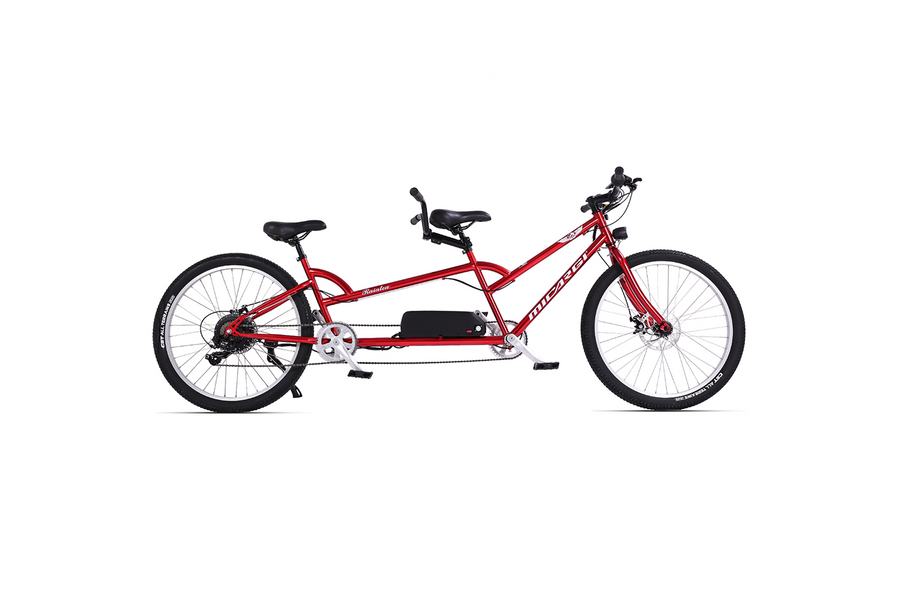 The Ultimate 2025 Guide to 2-Person Electric Bikes: Why Tandem E-Bikes