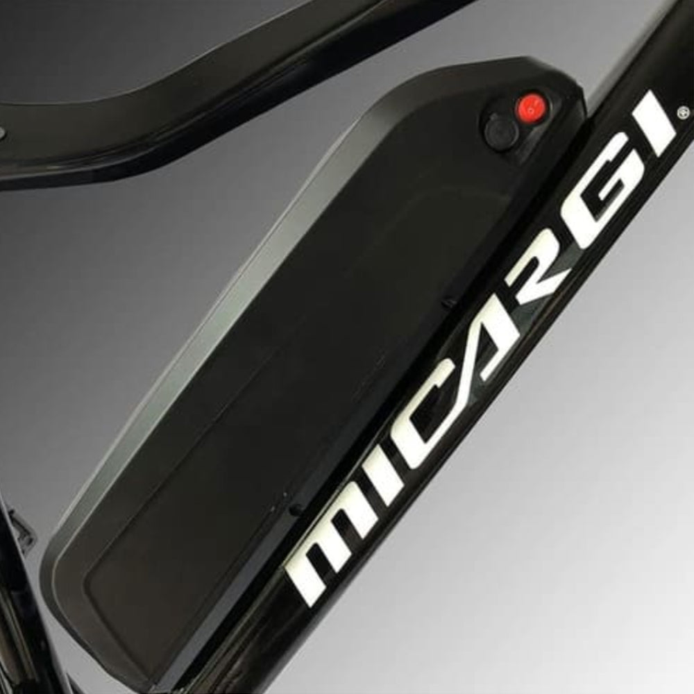 Electric City Bikes - Micargi Bike